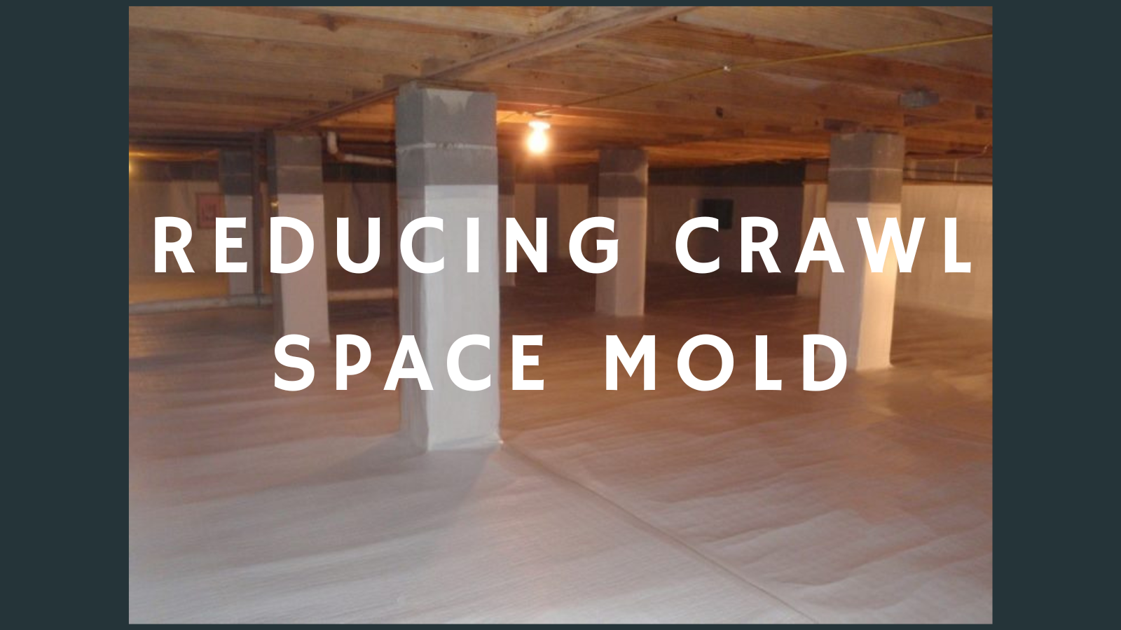 The Hidden Dangers: Understanding and Reducing Mold Risks in Your Crawl ...